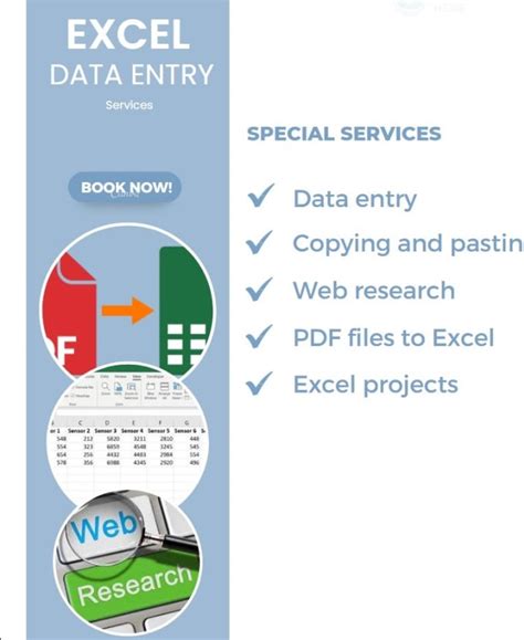 offer services in excel data entry copy pasting web research pdf to
