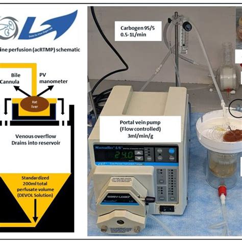 Acellular Room Temperature Machine Perfusion Schematic Control And Dcd Download Scientific