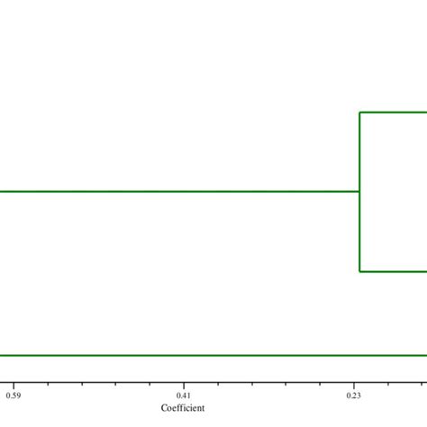 Clustering Pattern Of The Agro Morphological And Yield Based On 14