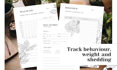 Ball Python Care Diary Reptile Logbook Calendar A5 And Us Letter Paper