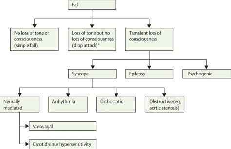 Epilepsy In Later Life The Lancet Neurology