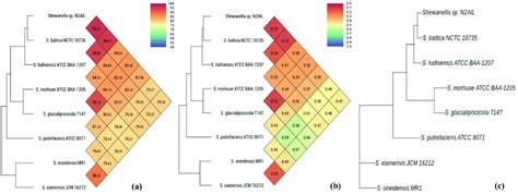 Heat Map And Phylogenetic Tree Based On Ani A Ggdc Distance B And