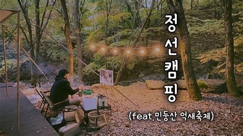 캠핑 브이로그ㅣ캠핑장에서 커플은 뭐하고 놀까ㅣ늦가을 스프링바ㅣ나미니 첫영상ㅣ민둥산 억새축제ㅣ도사곡 자연휴양림ㅣ정선캠핑 Youtube