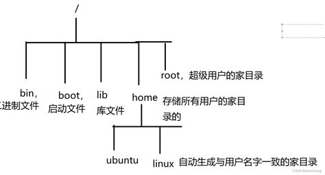 Day1：linux系统 Csdn博客