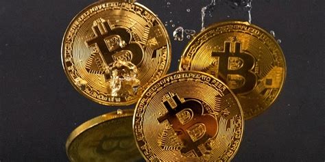 비트코인 장기 투자자 비중 역대 최고치 조사기관 강세장 진입 신호