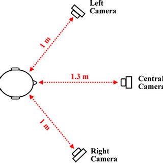 PDF A Specialized Motion Capture System For Real Time Analysis Of Mandibular Movements Using