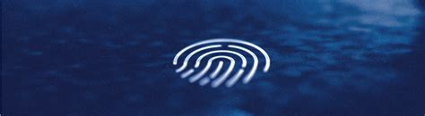 How To Cut Down On Microsoft Dynamics 365 Security Roles A Quick Guide — Executive Automats