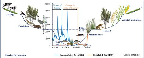 How Climate And Water Management Affect Streamflow Seasonality Griffith News