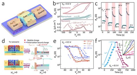 Room Temperature Ferroelectricity And Data Storage Potential In