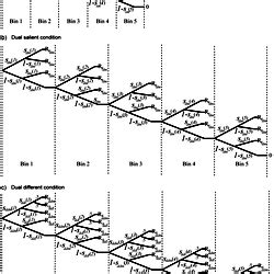 Tree Diagrams In Experiment 2