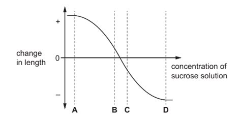 Cie Igcse Co Ordinated Science B3 2 Osmosis Exam Style Questions Paper 2