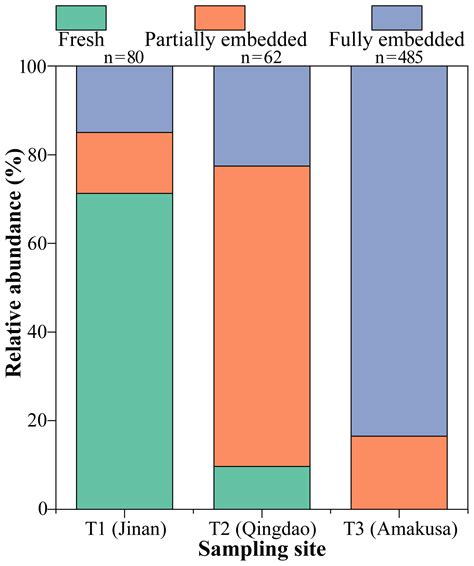 Acp Tracing The Evolution Of Morphology And Mixing State Of Soot Particles Along With The