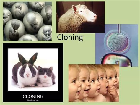 PPT Cloning PowerPoint Presentation Free Download ID 2558906