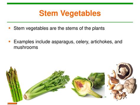Stem Vegetables Examples