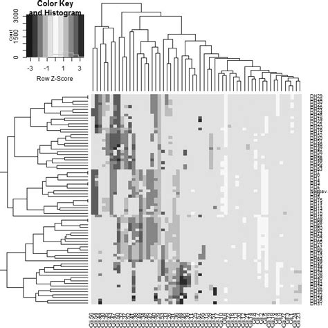 The Two Way Cluster Diagram Heatmap Based Upon Their Gliadin Band
