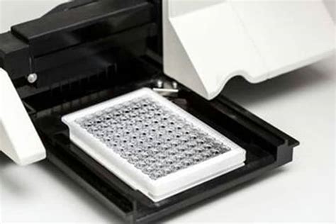 Master The Science Of Hplc Column Selection For Optimal Results Loadion