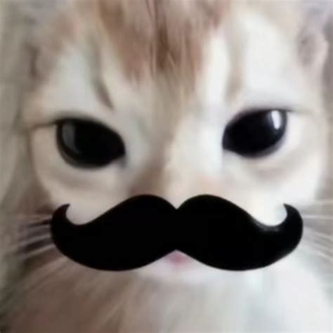 Adalynnesdancing Youtube