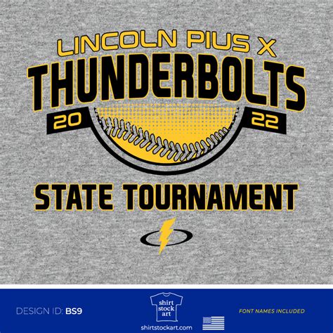 Bs9 T Shirt Stock Art