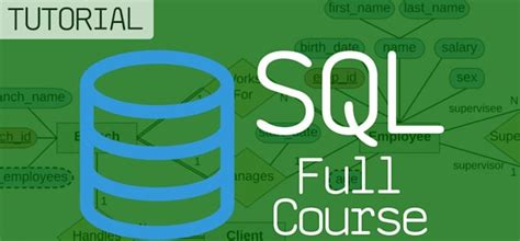 Teach You Sql Python Machine Learning And Data Science By Jainpriyanshu84 Fiverr