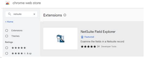 View NetSuite Record Data Suite Tooth Consulting