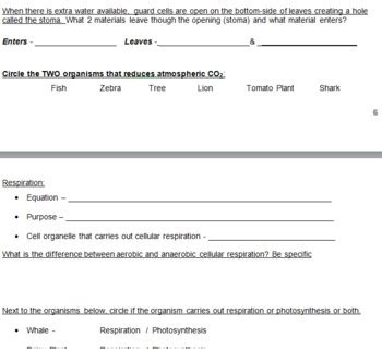 Midterm Review Packet By Innovative Biology Materials TpT