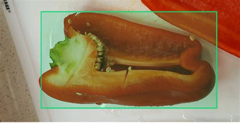 Object Detection Cocossd Userscript