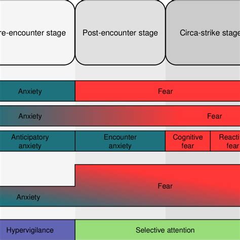 7 Mean Skin Conductance Responses ±sem To Video Stimulus Onsets Download Scientific Diagram
