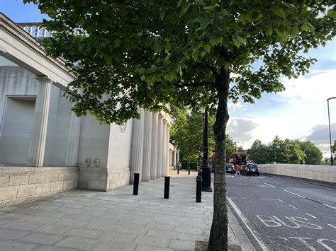 Silva Cells Support Trees At Bomber Command Memorial Deeproot Blog