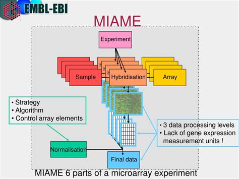 Ppt Miame And Arrayexpress A Standard For Microarray Gene