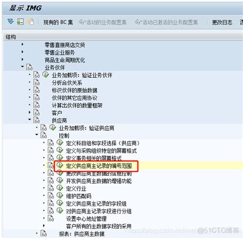 Sap S4 Bp业务伙伴配置冰河世纪的技术博客51cto博客