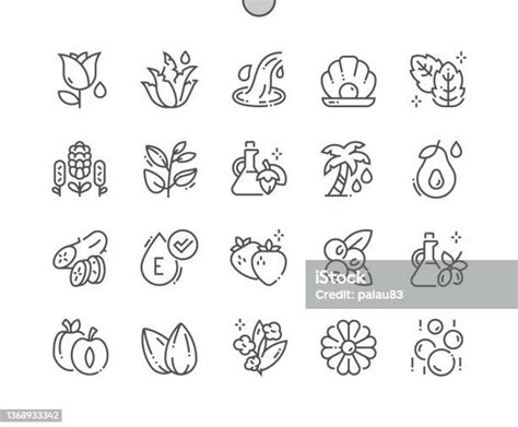 화장품 성분 오이 장미 알로에 베라 민트 라벤더 호호바 및 기타 비타민 E 유기농 미용 및 미용학 픽셀 완벽한 벡터 얇은 선 아이콘 간단한 최소 그림 알로에에 대한 스톡