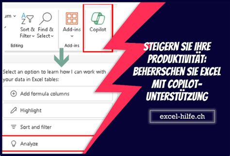 Steigern Sie Ihre Produktivität Beherrschen Sie Excel mit Copilot