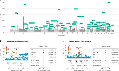 of multi ancestry meta analysis a the manhattan plot for the random