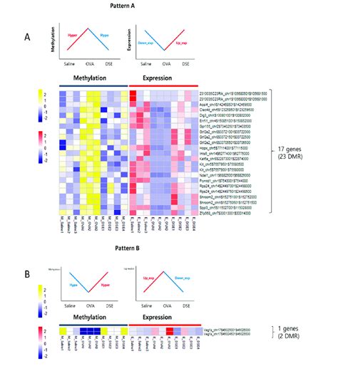 Anti Asthmatic Pattern Genes With Inverse Correlation Between Download Scientific Diagram