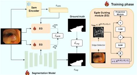 Sam Eg Segment Anything Model With Egde Guidance Framework For Efficient Polyp Segmentation
