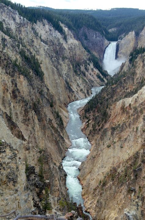 Compound Living Yellowstone