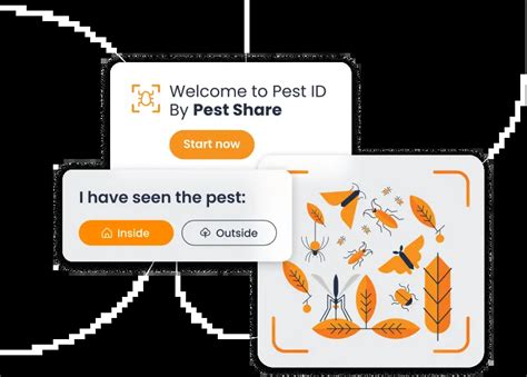 Pest Exclusion Barrier Tactics To Save Your Home From Unwanted Guests