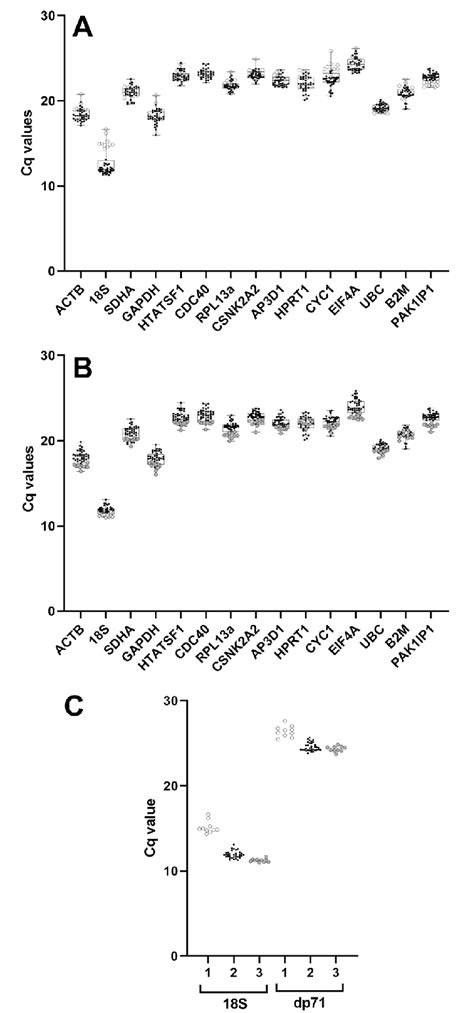 Raw Quantification Cycle Cq Values And Validation Box And Whisker
