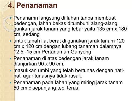 Budidaya Ganyong Pptx