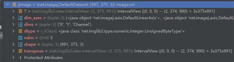 How To Fully Load The Vsi File · Issue 255 · Imagejpyimagej · Github
