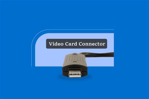Types Of Video Card Connector Explained TechCult