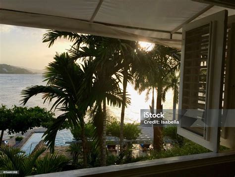 푸른 하늘 흰색 셔터 개인 수영장 무성 한 녹색 코코넛 야자수 몬티 자메이카의 카리브 섬에 푸른 바다와 함께 고급 스러운 열 대 리조트에서 몬테고 만에 대한 스톡 사진 및