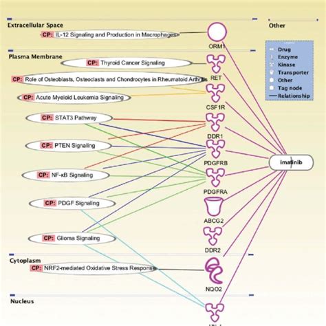 The Polypharmacology Profile Of Imatinib Generated Using The Qiagens
