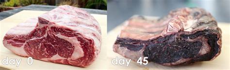 Aging Beef 9 Steps Instructables
