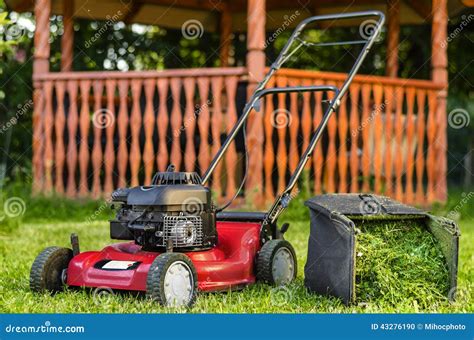 Red Lawn Mower Cutting Grass Lawn Mower Cutting Green Grass In The
