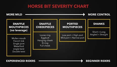 All You Need To Know About Horse Mouth Health Care Bit By Bit Kavallerie