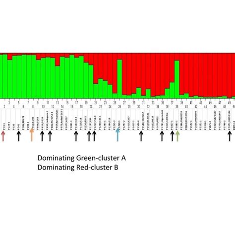 bayesian model based genetic clustering of 50 chickpea germplasms