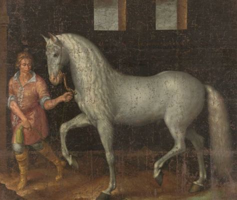 Pure Race Espagnole Histoire Et Grandeur Du Cheval Andalou
