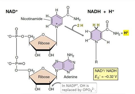 Pin On Química