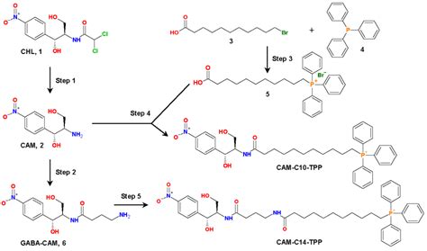 Scheme Of Chemical Synthesis Of Triphenylphosphonium Tpp Analogues Of Download Scientific
